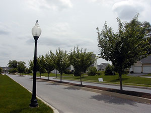 Conservation Subdivision Design Guide - Boulevards